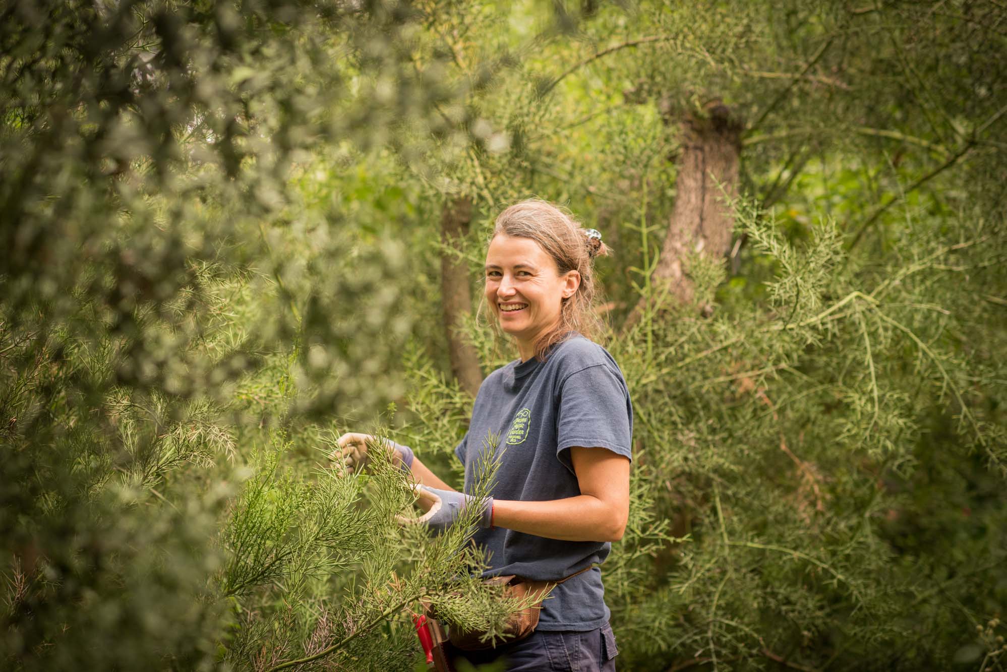 How to be a horticultural trainee - Chelsea Physic Garden