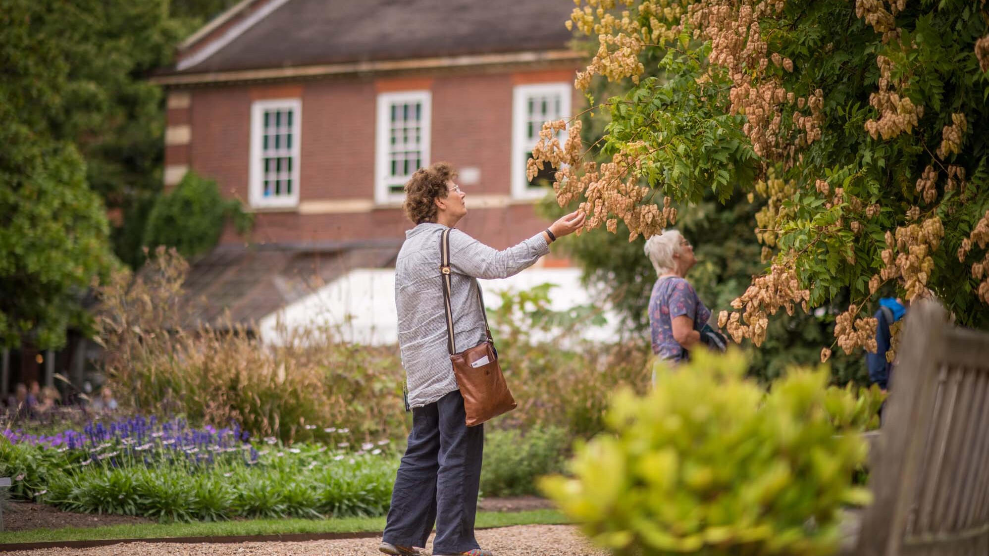 History - Chelsea Physic Garden