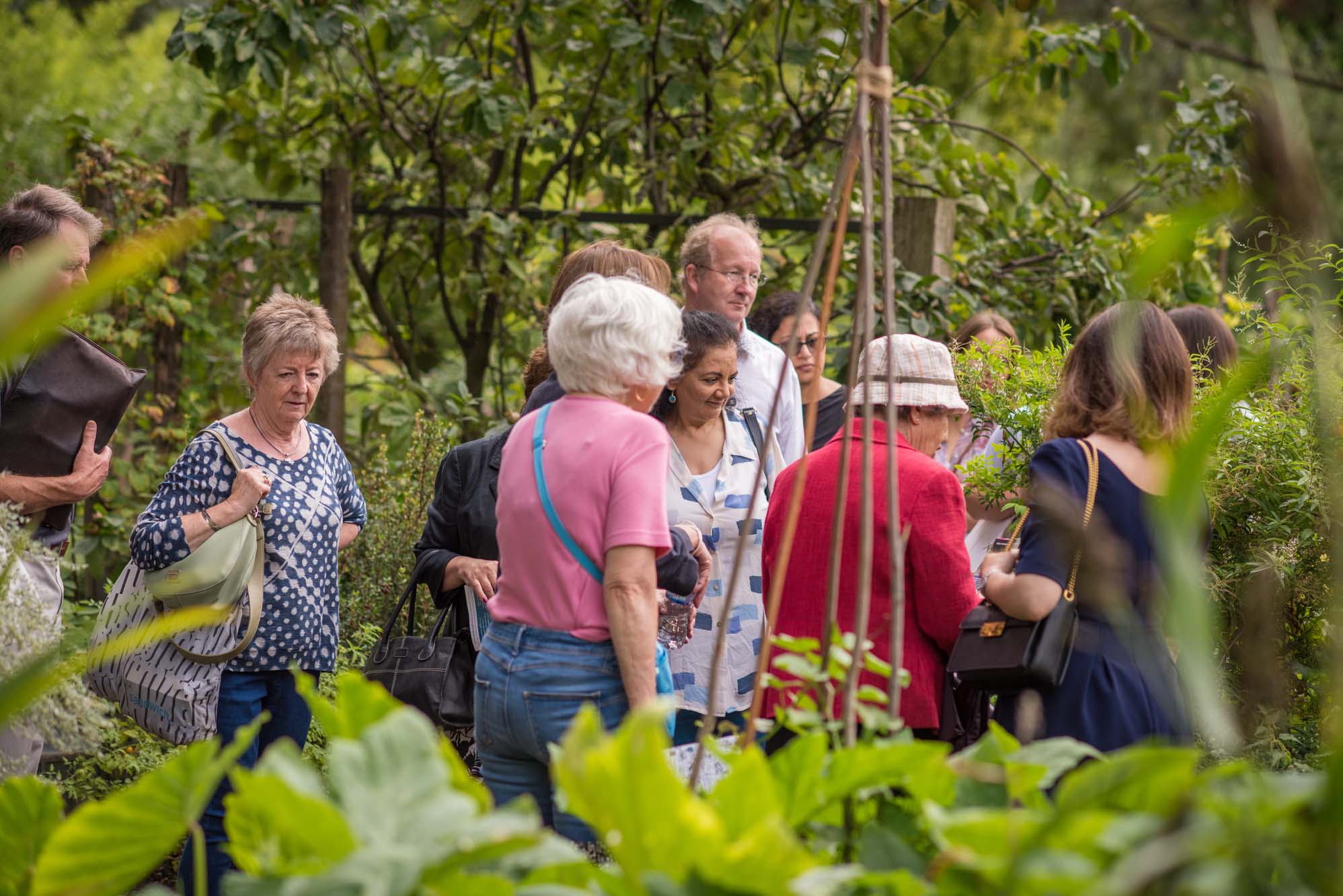 Contact us - Chelsea Physic Garden