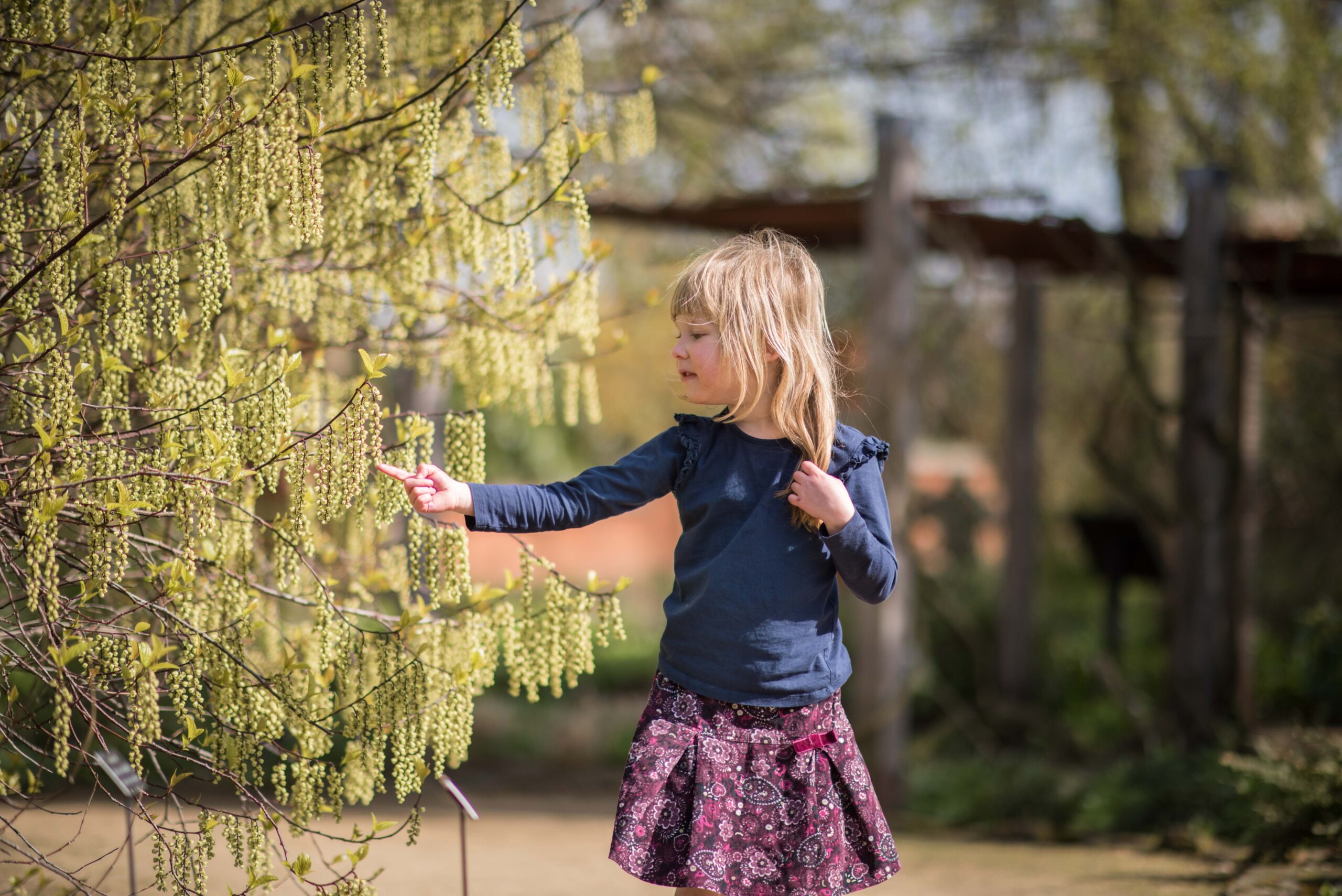 Family Activity: make your own plant puppets - Chelsea Physic Garden