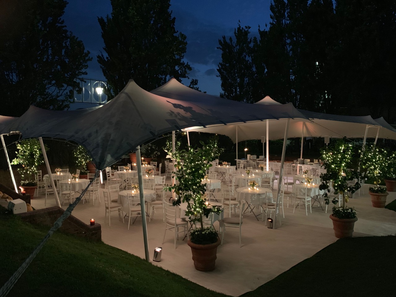 Creative Structures Group - Chelsea Physic Garden