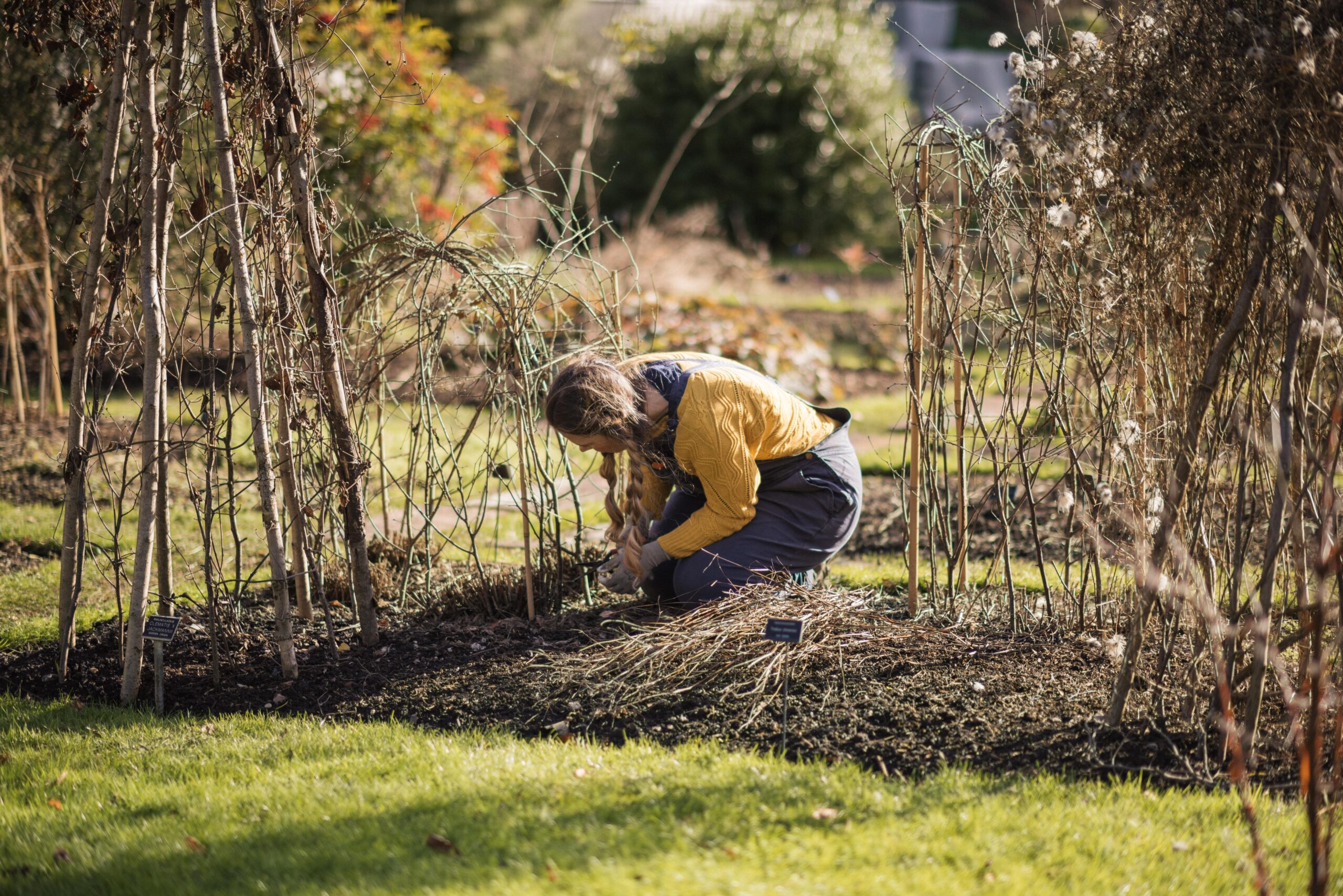 Gardening Tips for Beginners Course - Chelsea Physic Garden