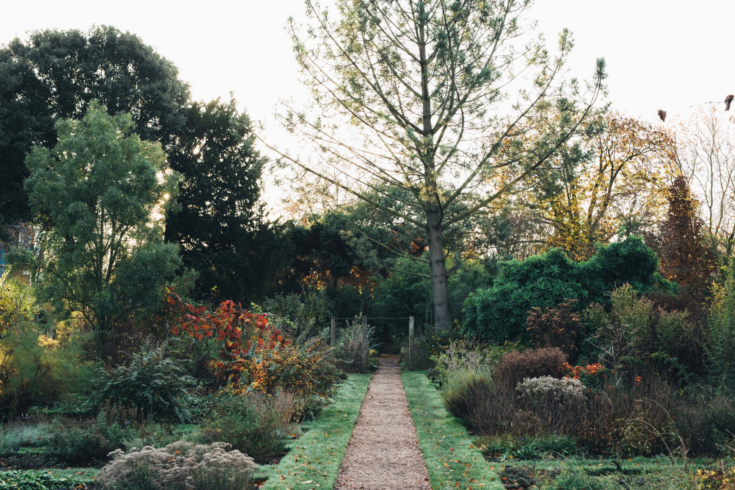 Visit - Chelsea Physic Garden
