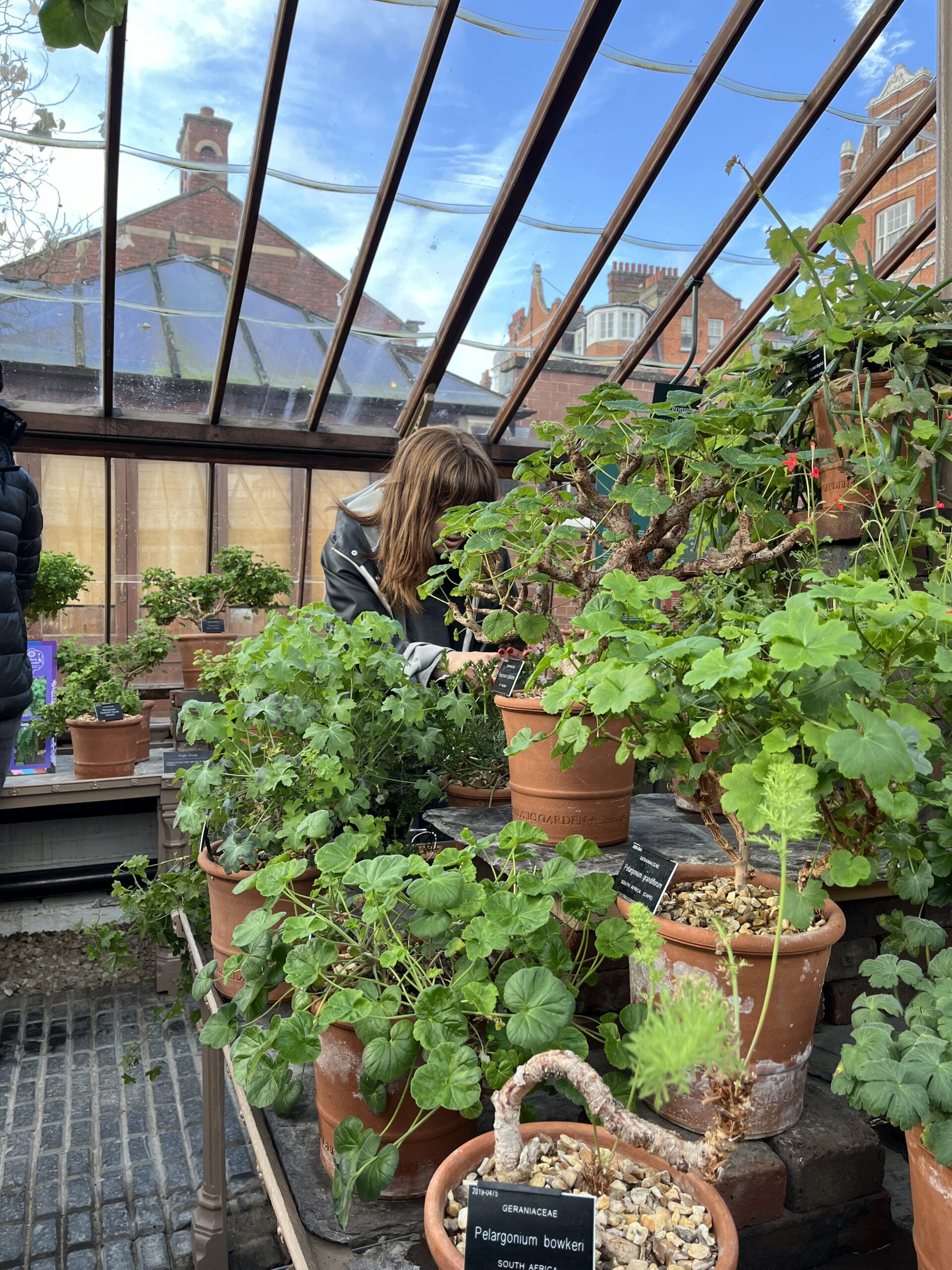 Plant Music - Chelsea Physic Garden
