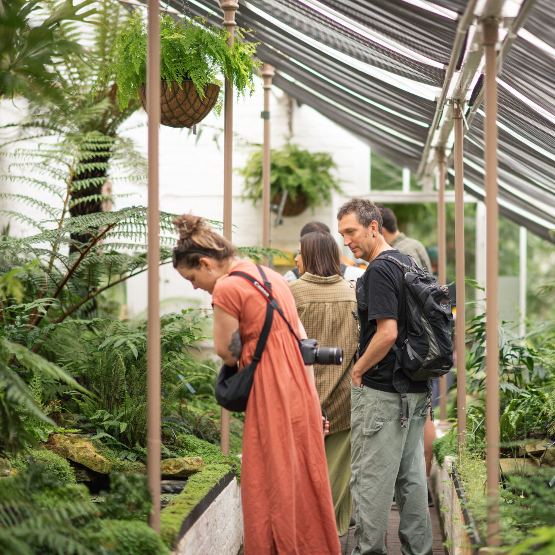 Home - Chelsea Physic Garden