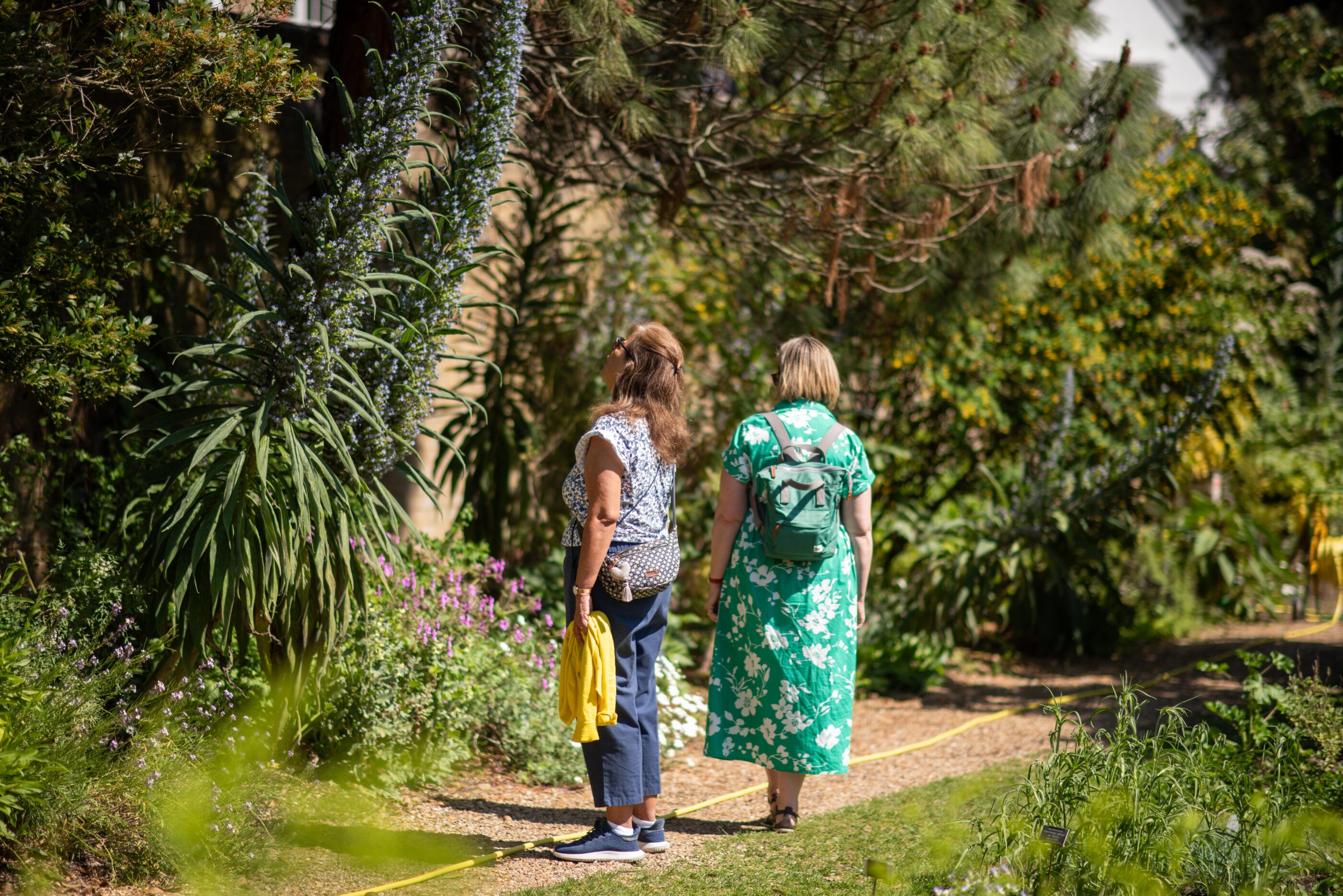 Opening times and tickets - Chelsea Physic Garden