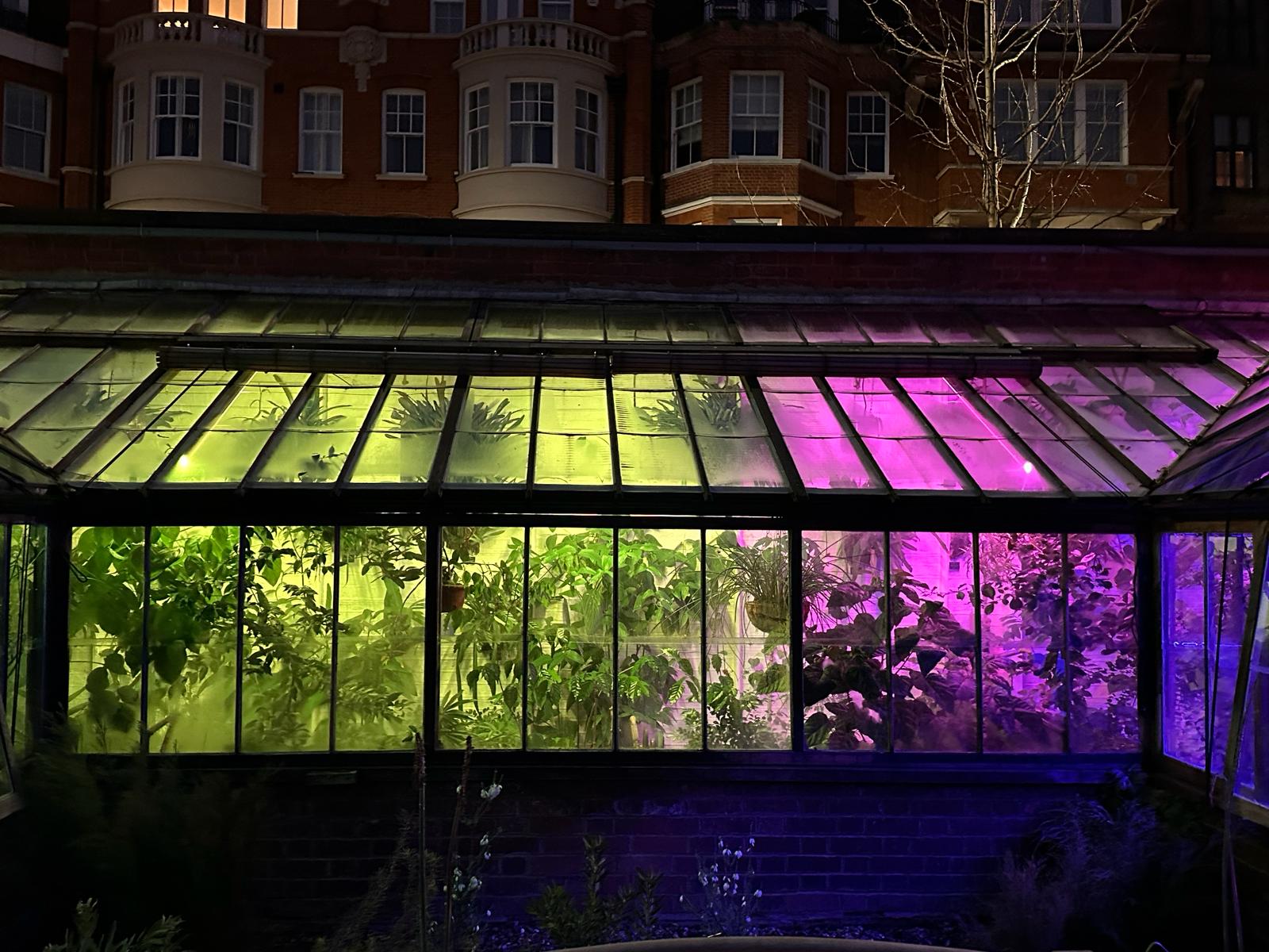 Weird Love After Dark - Chelsea Physic Garden