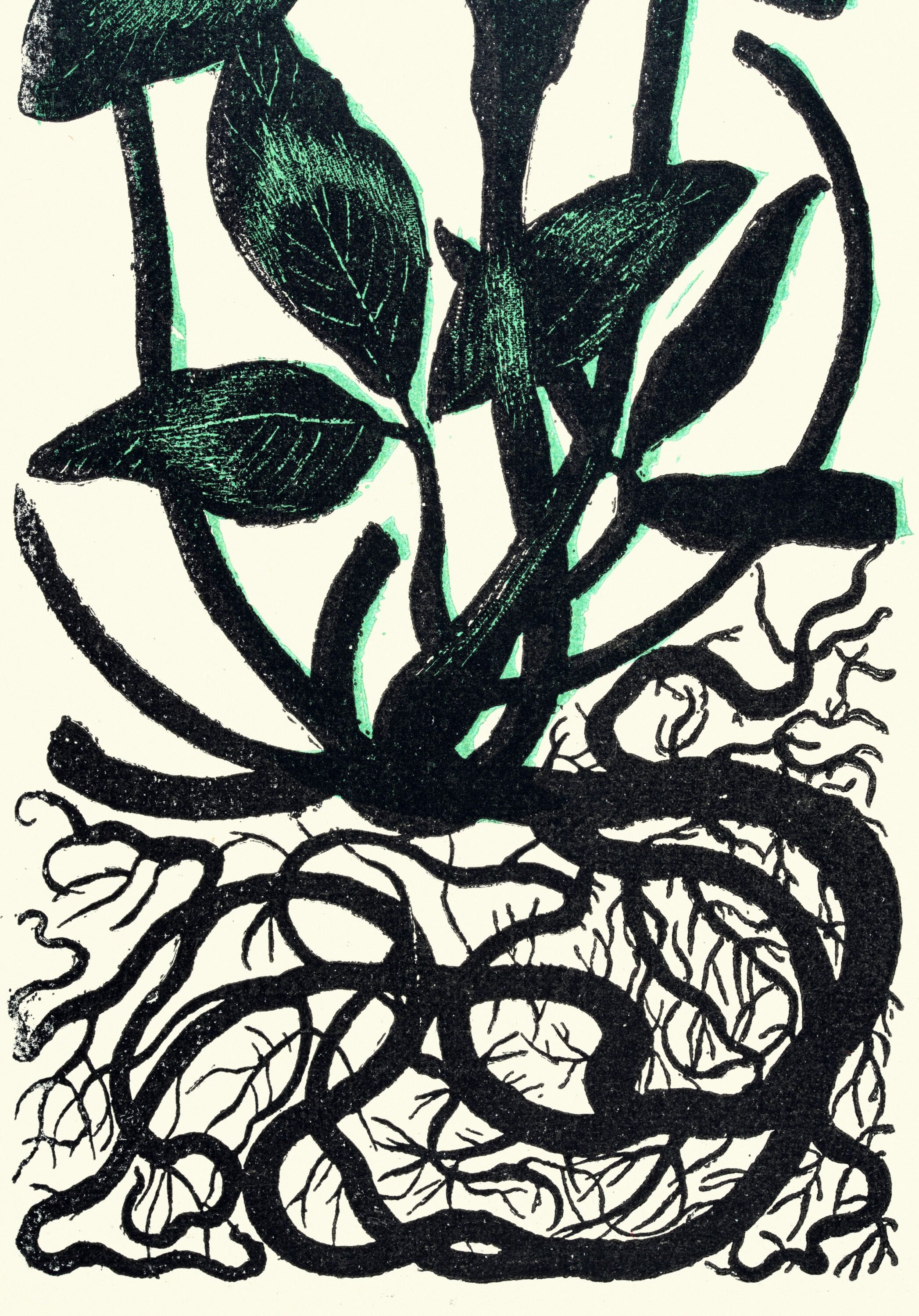 Twisted Roots: Writing Spring Folklore - Chelsea Physic Garden